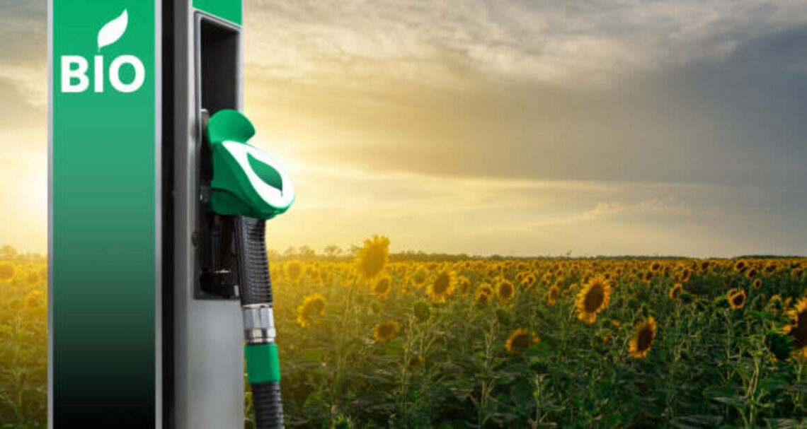 Biofuel and oil blending - what do we need to know about it
