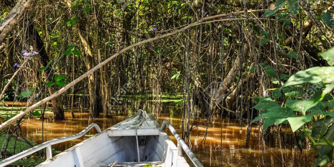 Thailand Opens Biomass Pellets Prototype Plant